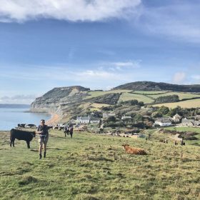 Places to Go in Dorset: 9 Must See Coastal Destinations – Hip Over ...